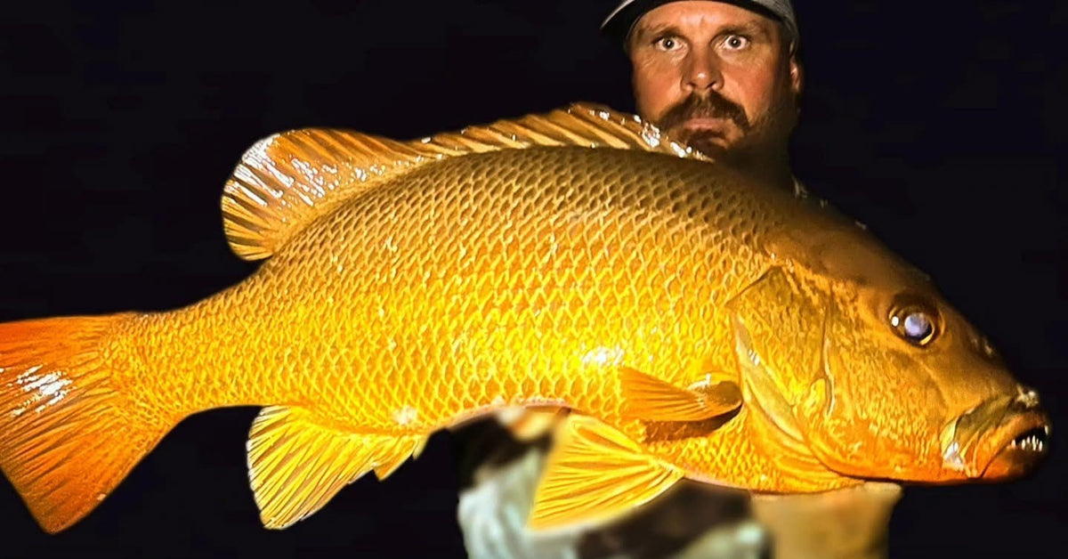 Fisho’s Weekly Fishing Report – 13th December, 2024 – Fisho's Tackle World