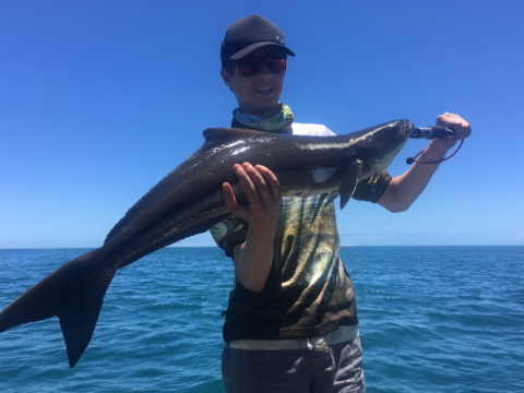 Weekly Fishing Report - 31st January 2019 - Fisho's Tackle World