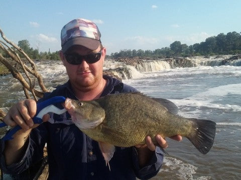 Weekly Fishing Report - 29th November 2018 – Fisho's Tackle World