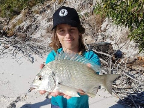 Weekly Fishing Report - 16th August 2018 - Fisho's Tackle World