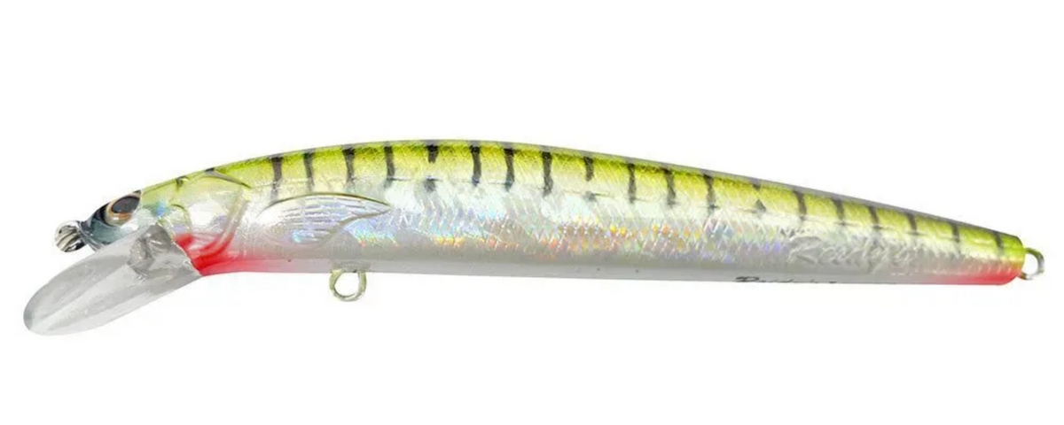 Reidy's B52 125mm 25g Hard Body Lure – Fisho's Tackle World